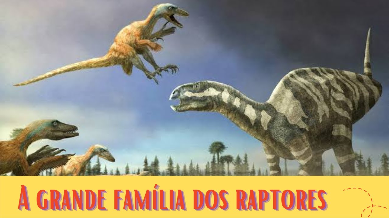 A família dos raptores - YouTube