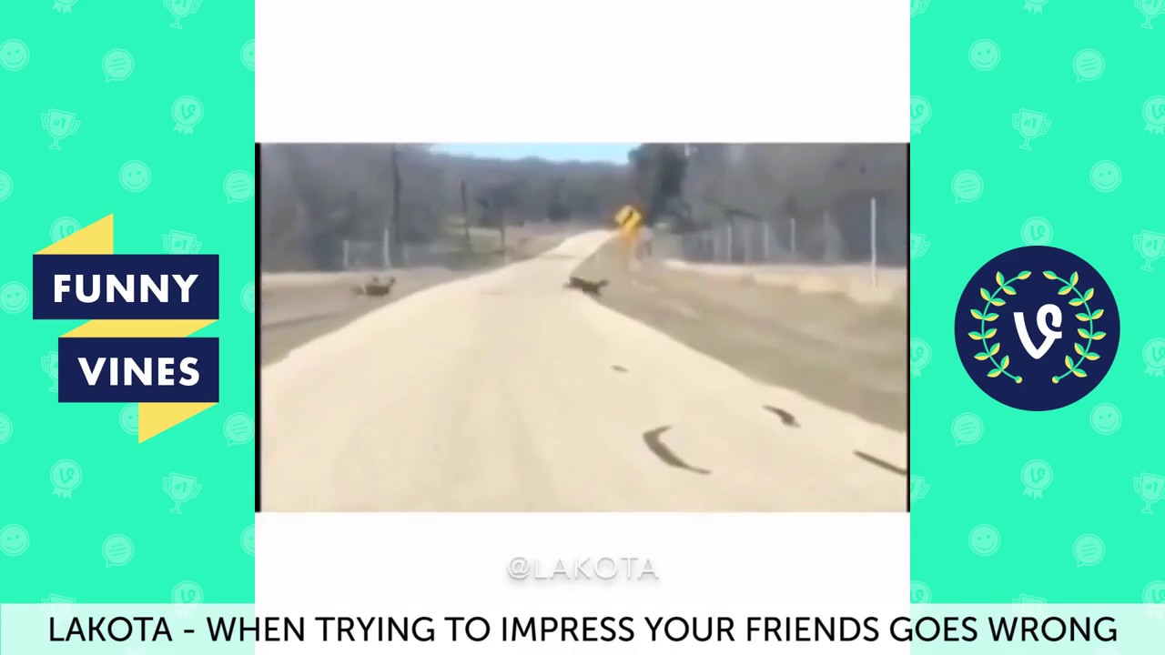 Funny vines! Memes! - YouTube
