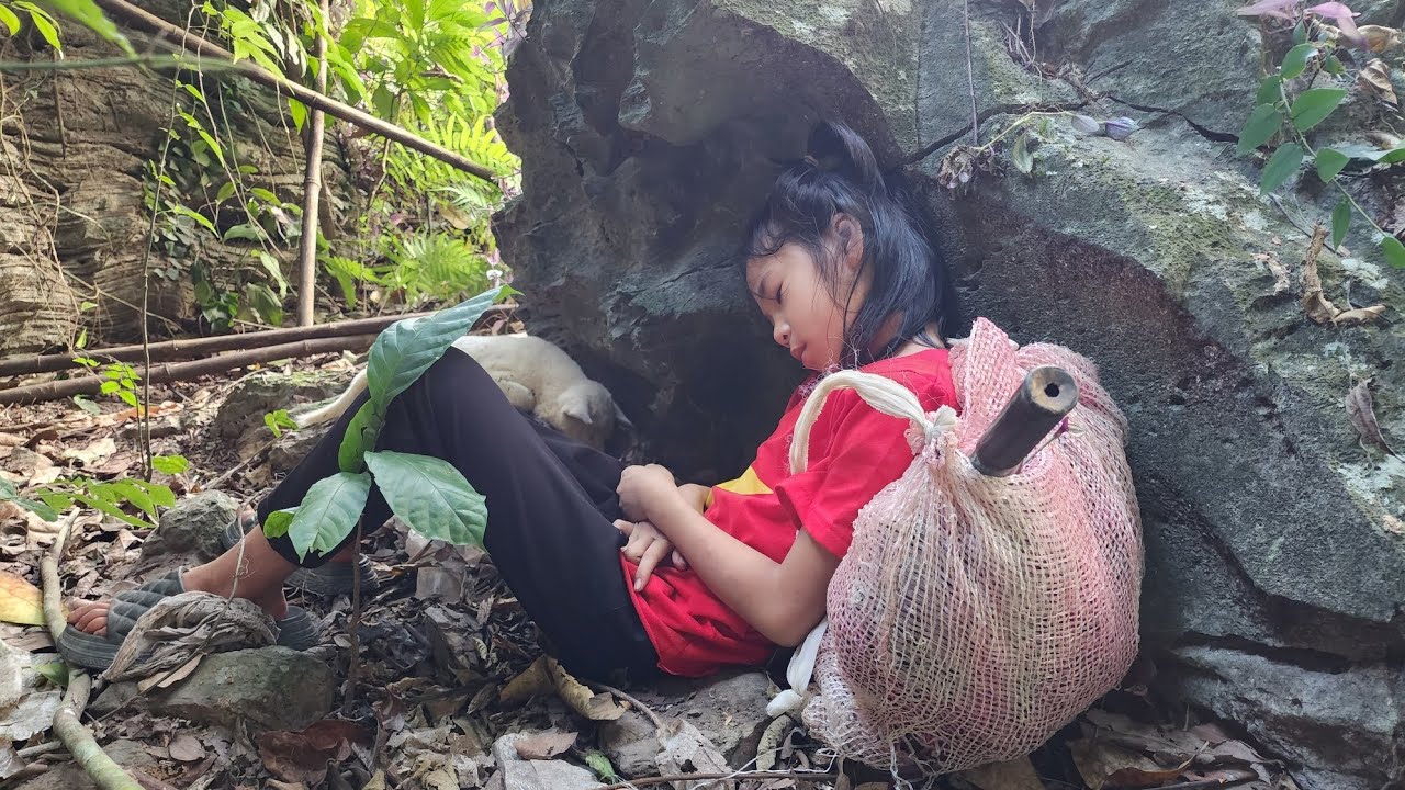 The poor girl went into the forest to pick vegetables to sell - YouTube
