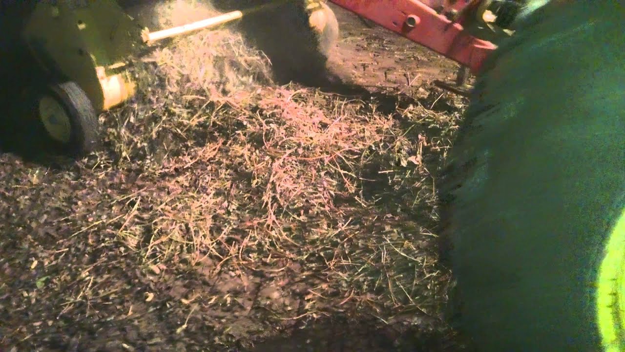 Eastern Carolina Peanut Vine Hay - YouTube