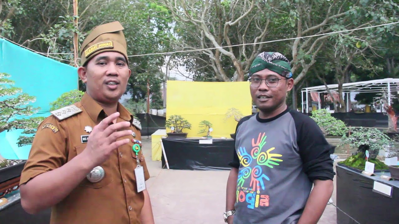 Si Mamad "Bonsai Hijau Langkat Memukau" - YouTube