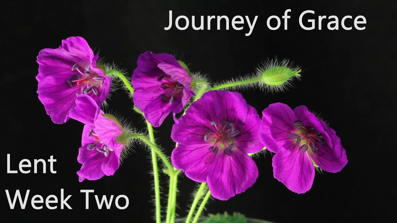 Lent Journey of Grace - Week Two Lent Year A - YouTube