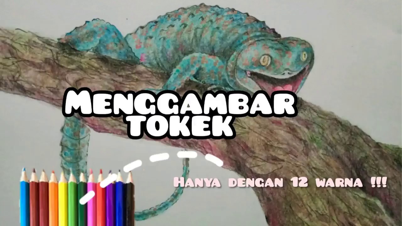 PainTpasteL | tutorial menggambar tokek/ drawing gecko pensil warna ...