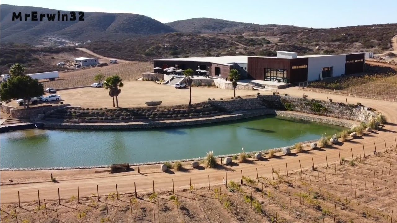 La Ruta Del Vino | Relieve Vinícola | Ensenada | Tijuana | Baja ...