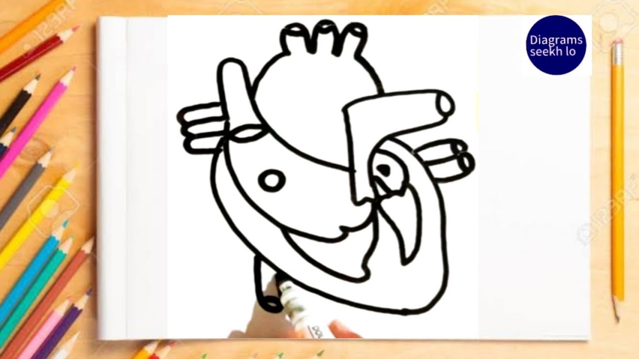 Heart diagram | Heart diagram easg to draw | Heart diagram class 7, 8 ...