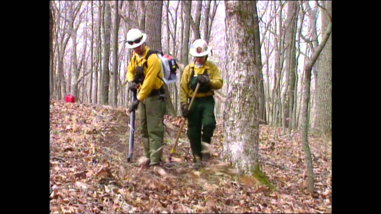 MainStreet - "Prescribed Burn at Mammoth Cave National Park" - YouTube
