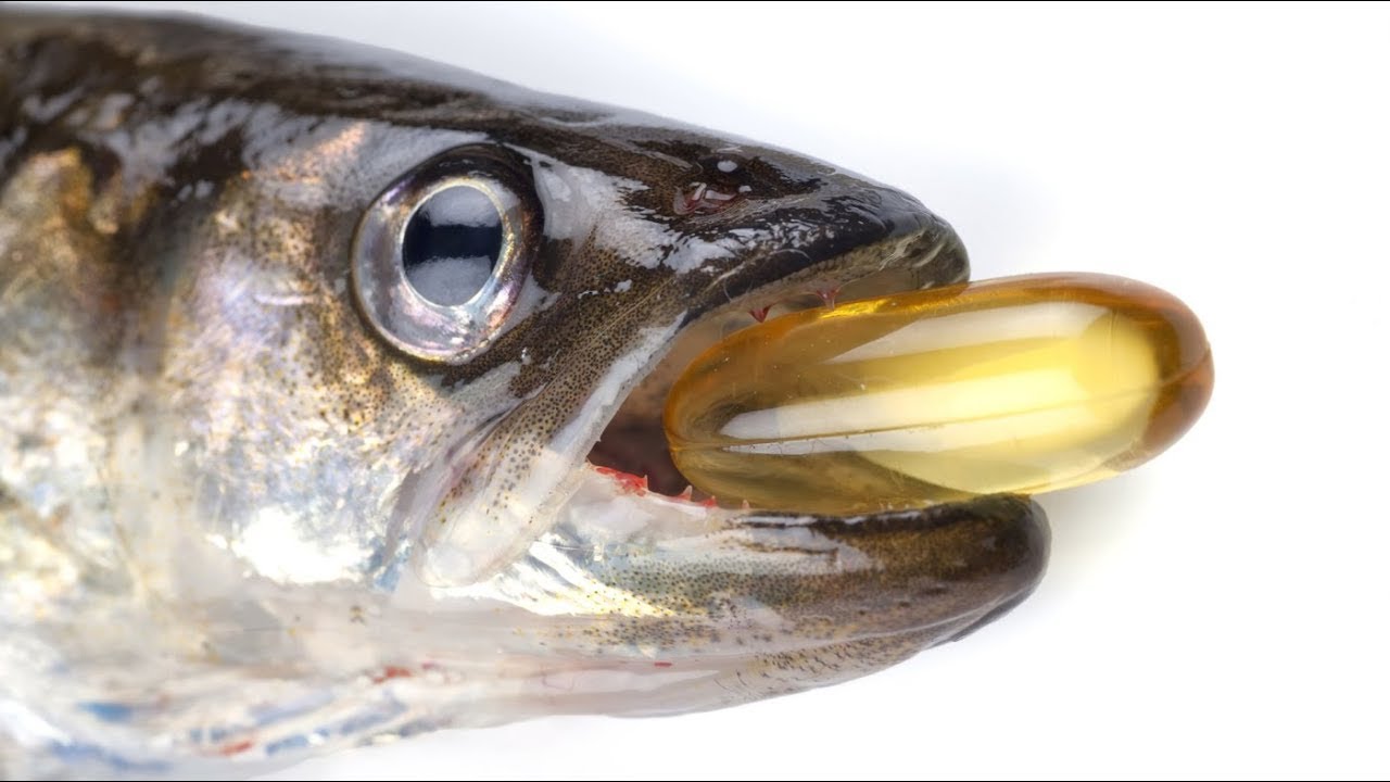 Fish Oil Extraction: The Astonishing Process You Never Knew About ...