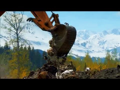 Gold Rush- GOLD, GUNS and BEARS Preview - YouTube
