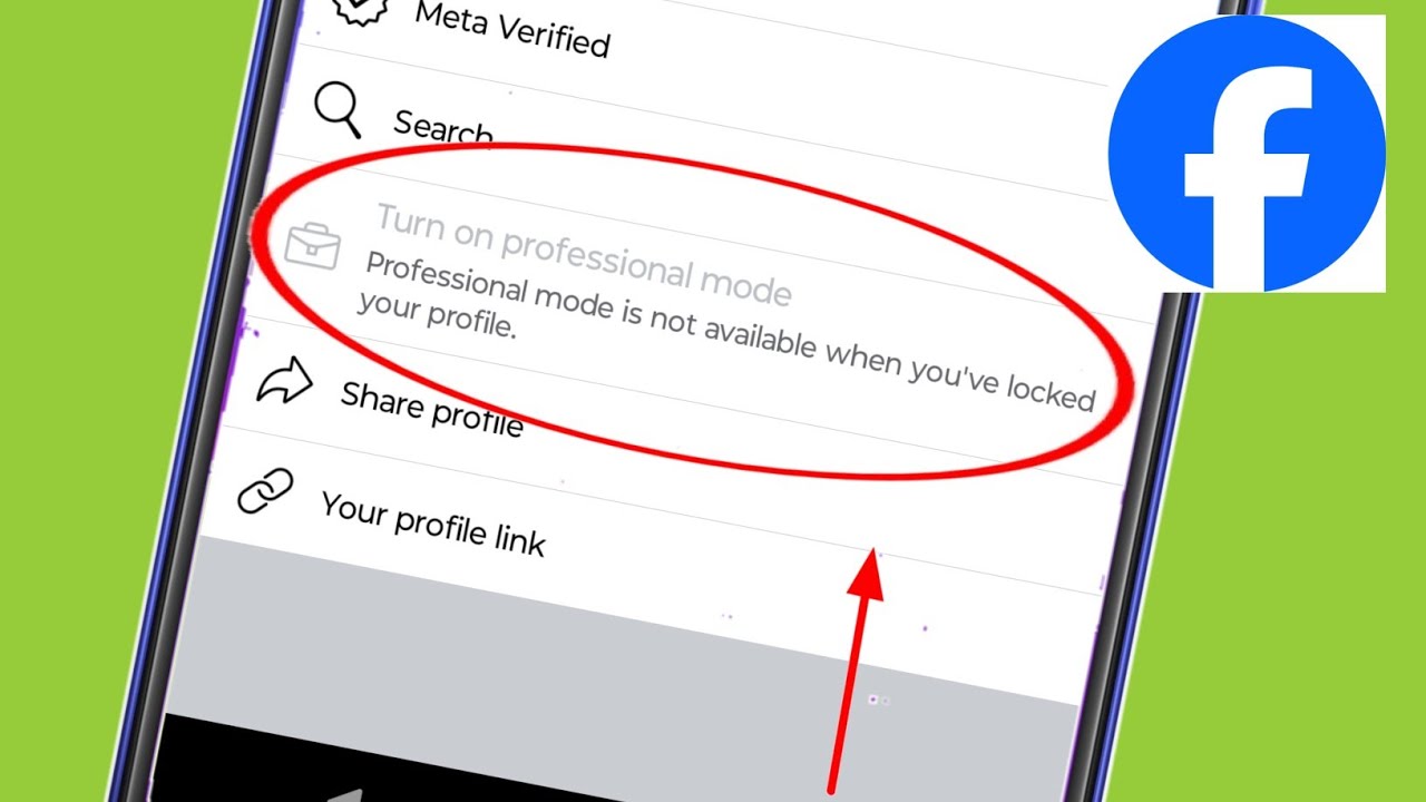 Fix Facebook Professional mode is not available when you've locked your ...