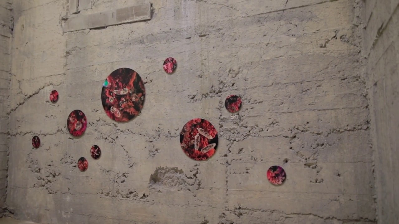 RED art project - YouTube