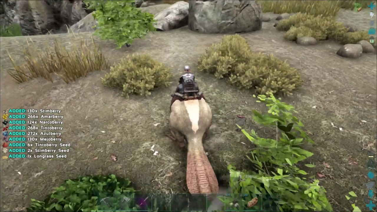 Can Beavers gather Berries ? - ARK Ragnarok - YouTube