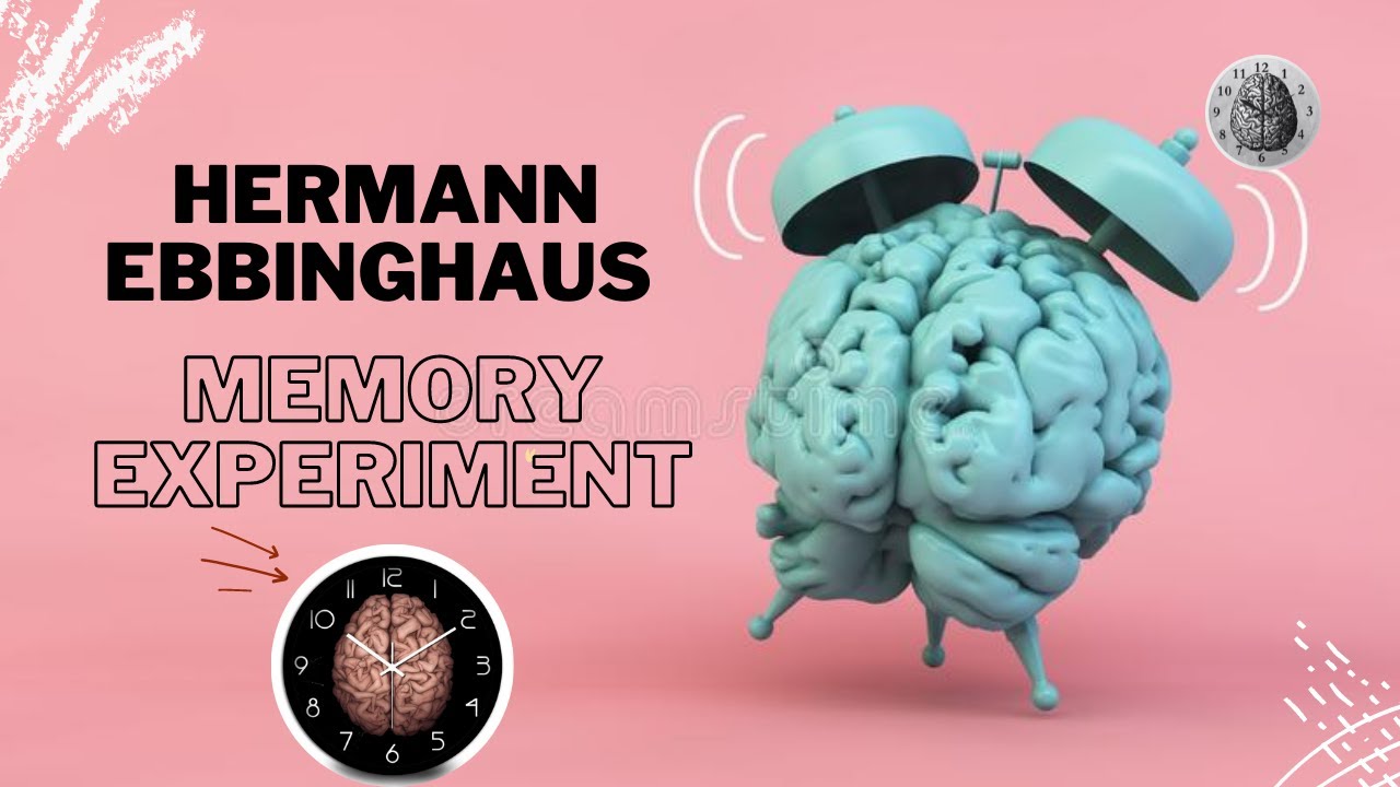 Ebbinghaus’s Memory Experiments: 24 HOURS AFTER LEARNING SOMETHING, WE ...
