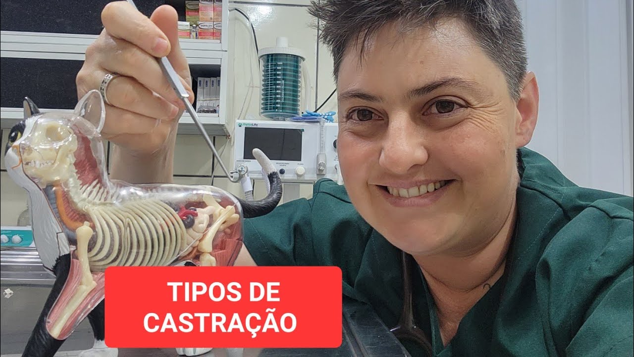 Quais os tipos de Castração em fêmeas - YouTube