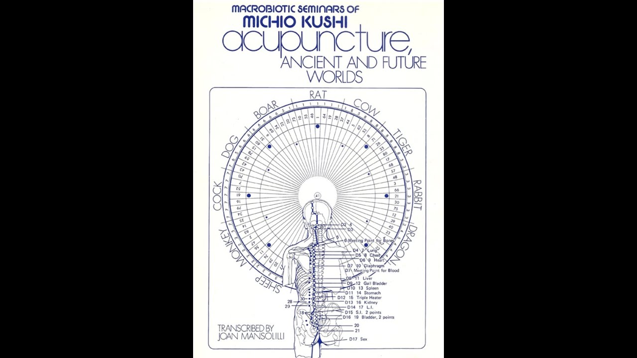 Michio Kushi - Acupuncture, Ancient and Future Worlds - Summary Podcast ...