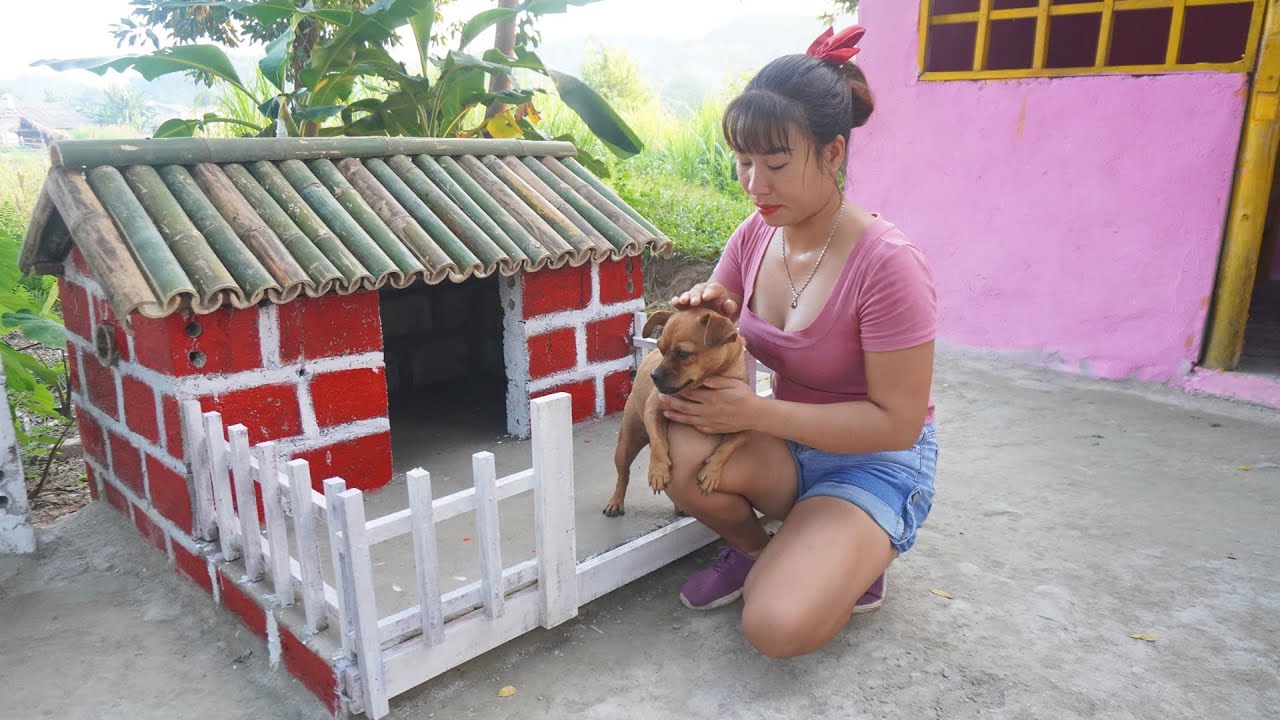 Build a beautiful doghouse for my dog, The dog is very happy to have ...