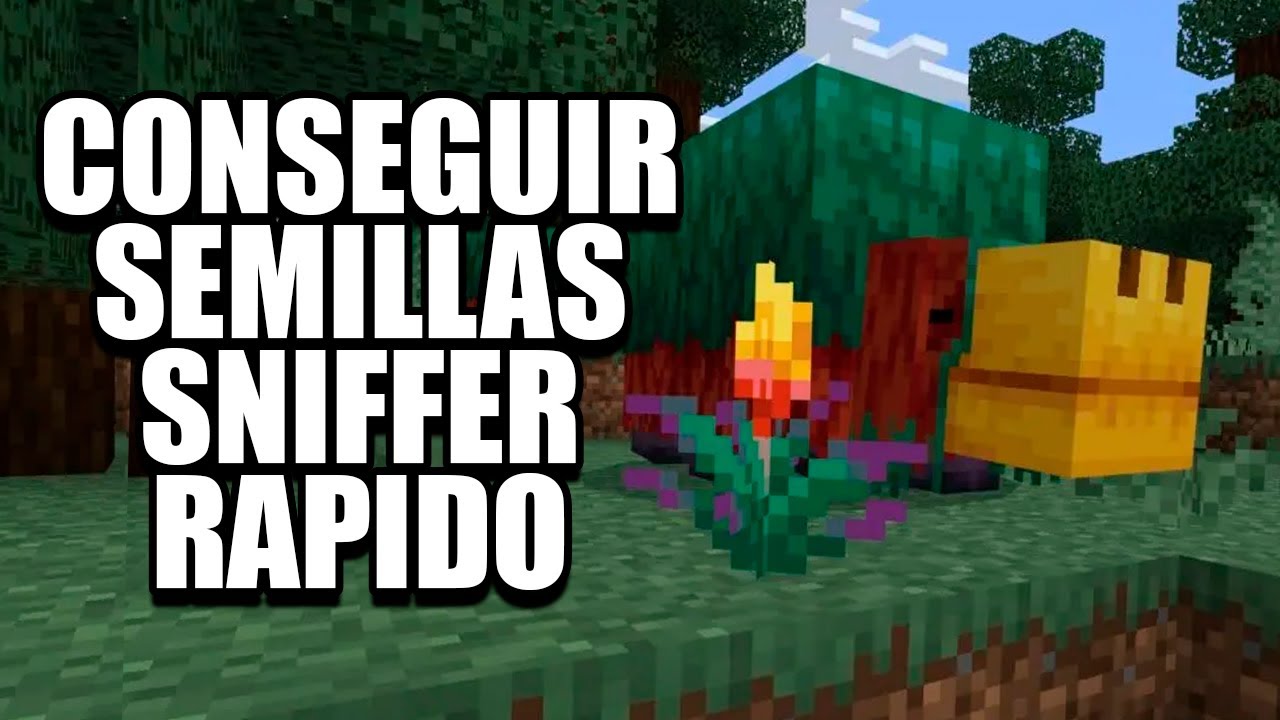 PLANTA SEMILLA DE SNIFFER TROFEO MINECRAFT - YouTube