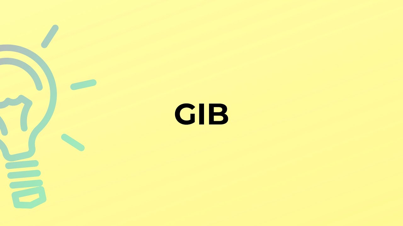 What is the meaning of the word GIB? - YouTube