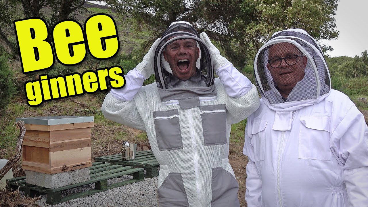 205. Beekeeping for Beginners - Our First Bees! - YouTube
