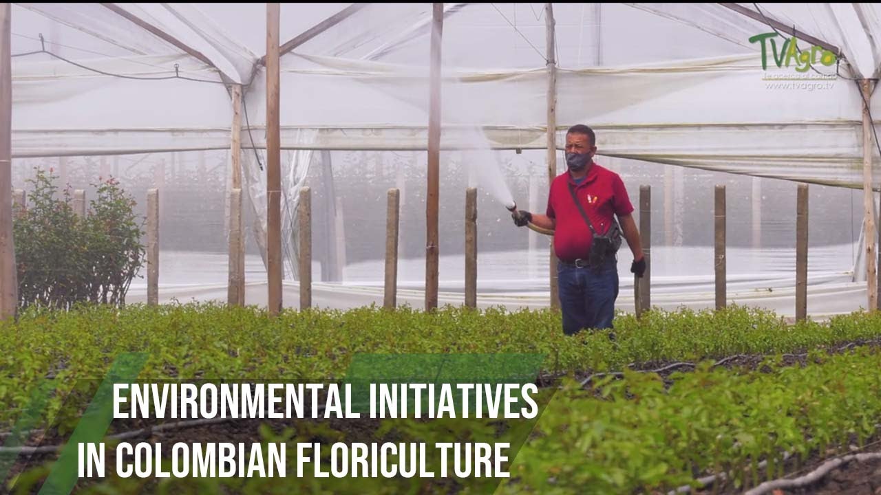 Environmental initiatives in Colombian floriculture - YouTube