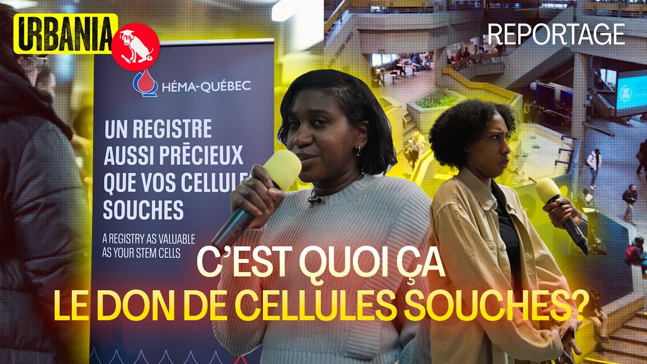 C'est quoi ça le don de cellules souches? | Reportage - YouTube