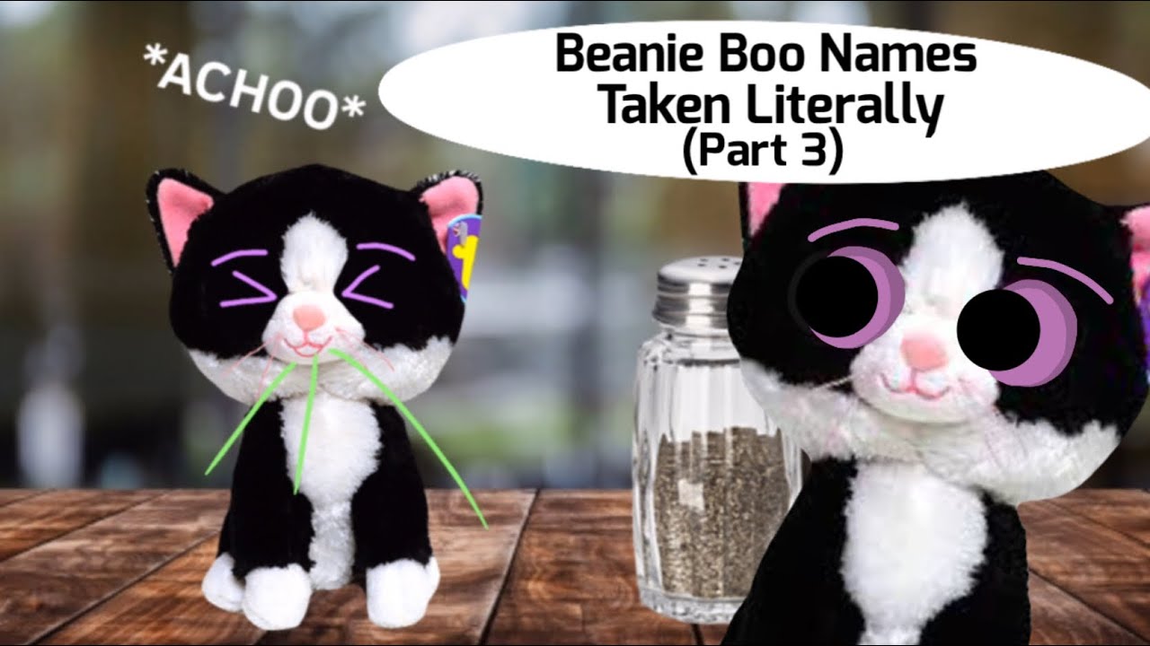 Beanie Boo Names Taken Literally 😂 (Part 3) - YouTube