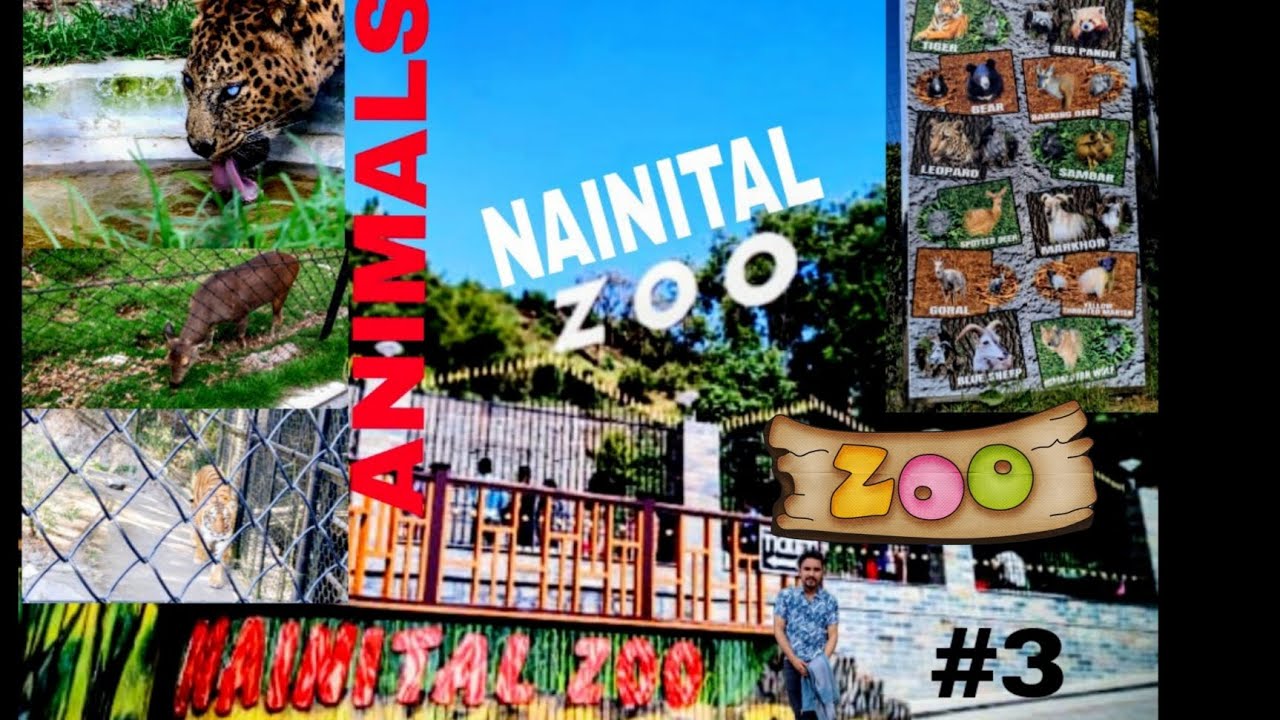 Nainital Zoo Vlog|All Animal|Zoo |Vlog |Nainital |Animal |Full Zoo Tour |Amit |Vicky Arya#zoo ...