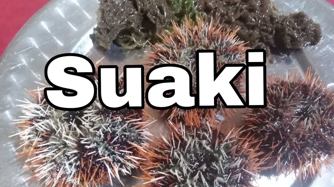 sea orchin (suwaki) - YouTube
