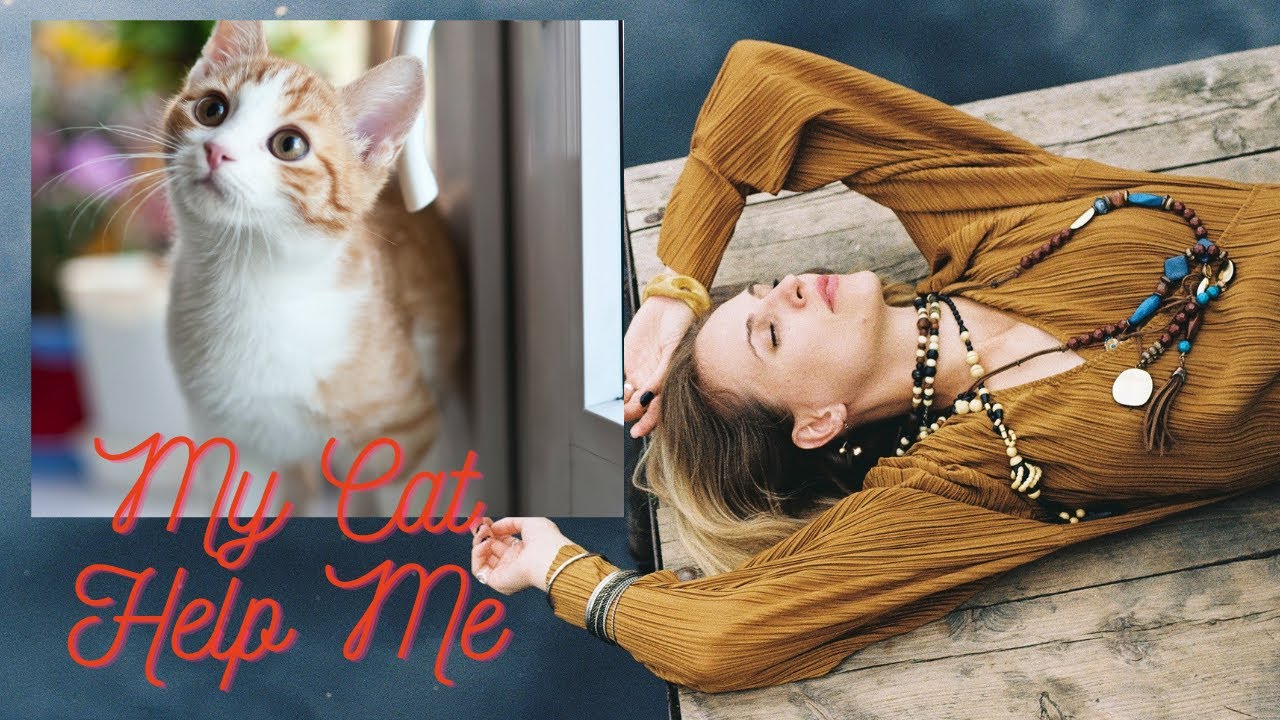 ,My Cat Help Me , How My Cat Helping me,#stressre_lief_music - YouTube
