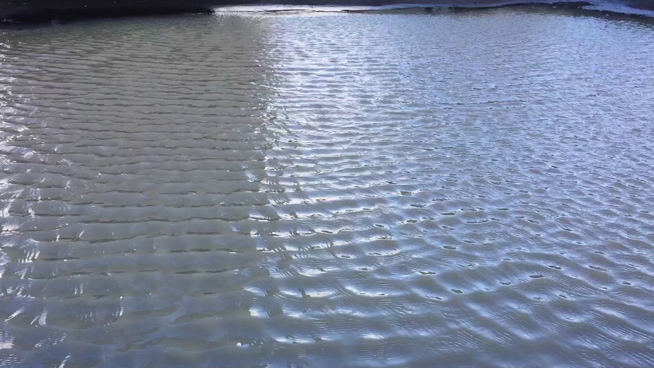 Gusts Overlay Wind on Water - YouTube