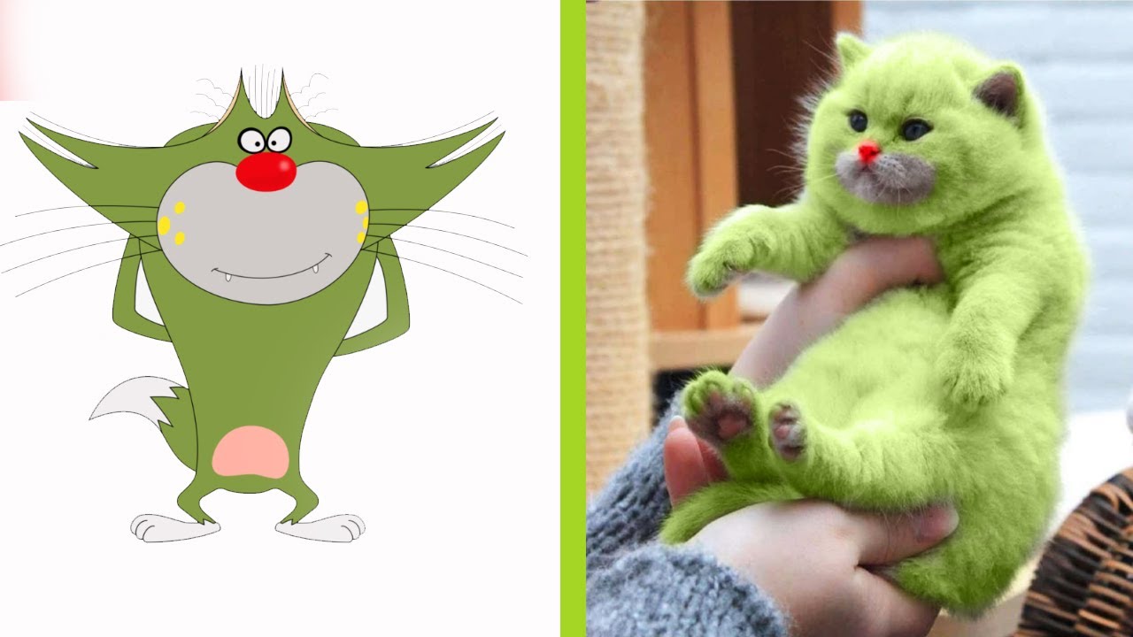 Oggy and the Cockroaches Characters In Real Life ( 2023 ) - YouTube