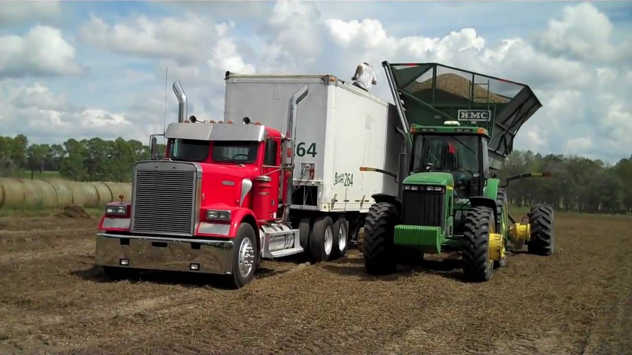 Picking Peanuts - 2009 - YouTube