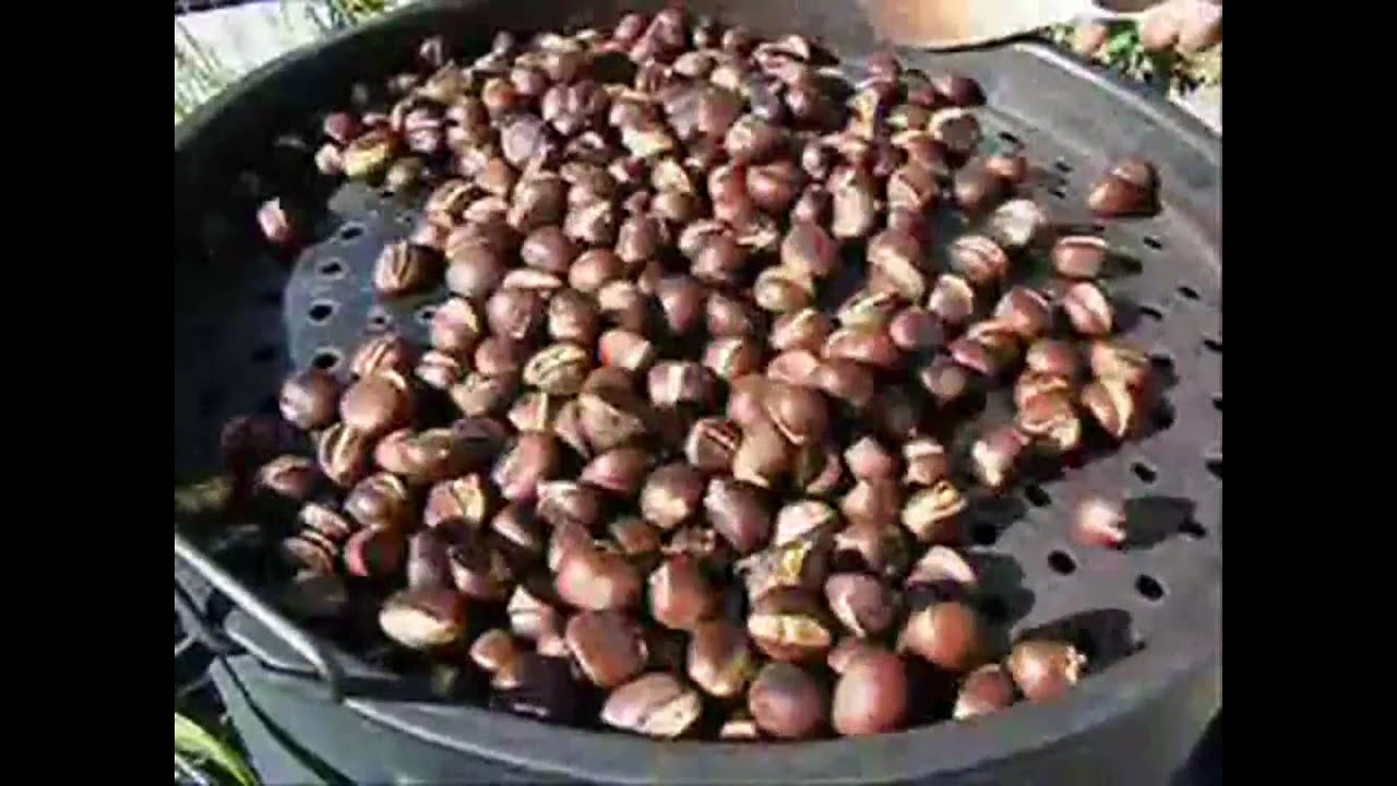 Marroni, Maroni, Maronen, Marron, Chestnuts, Castagne - bratren ...