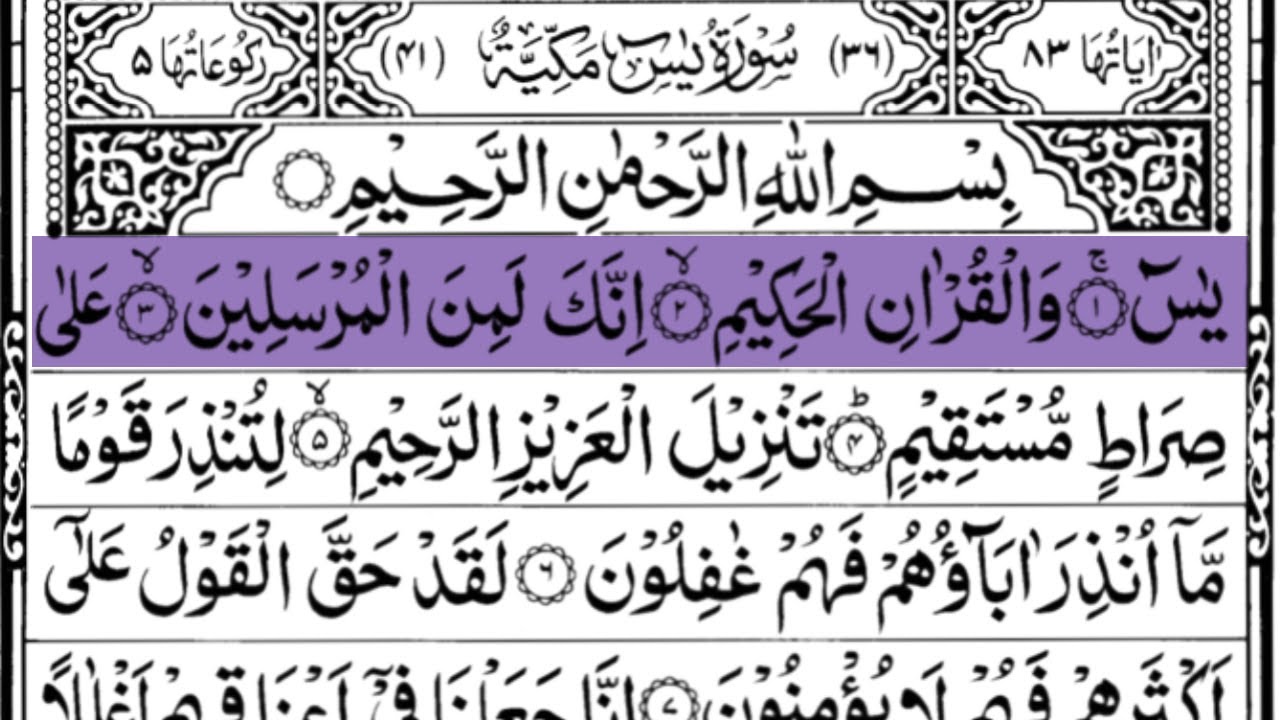 🔴 LIVE Surah Yaseen|yasin Shareef|Tilawat Quran||quran tilawat |EP 0675 ...