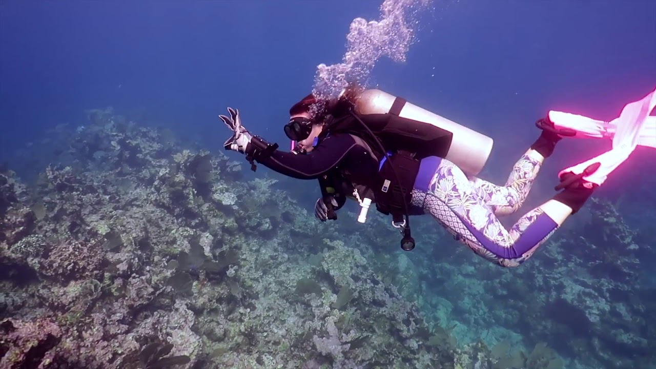 Mars Scuba - Scuba Diving in Cancun - Mars Scuba - Out of this world ...