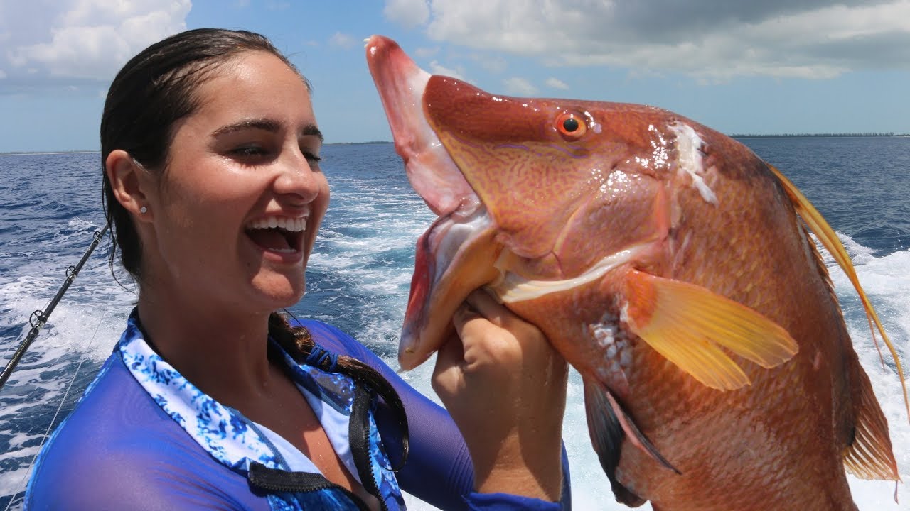 GIANT Hogfish SPEARED!!!! -Catch Clean Cook - YouTube