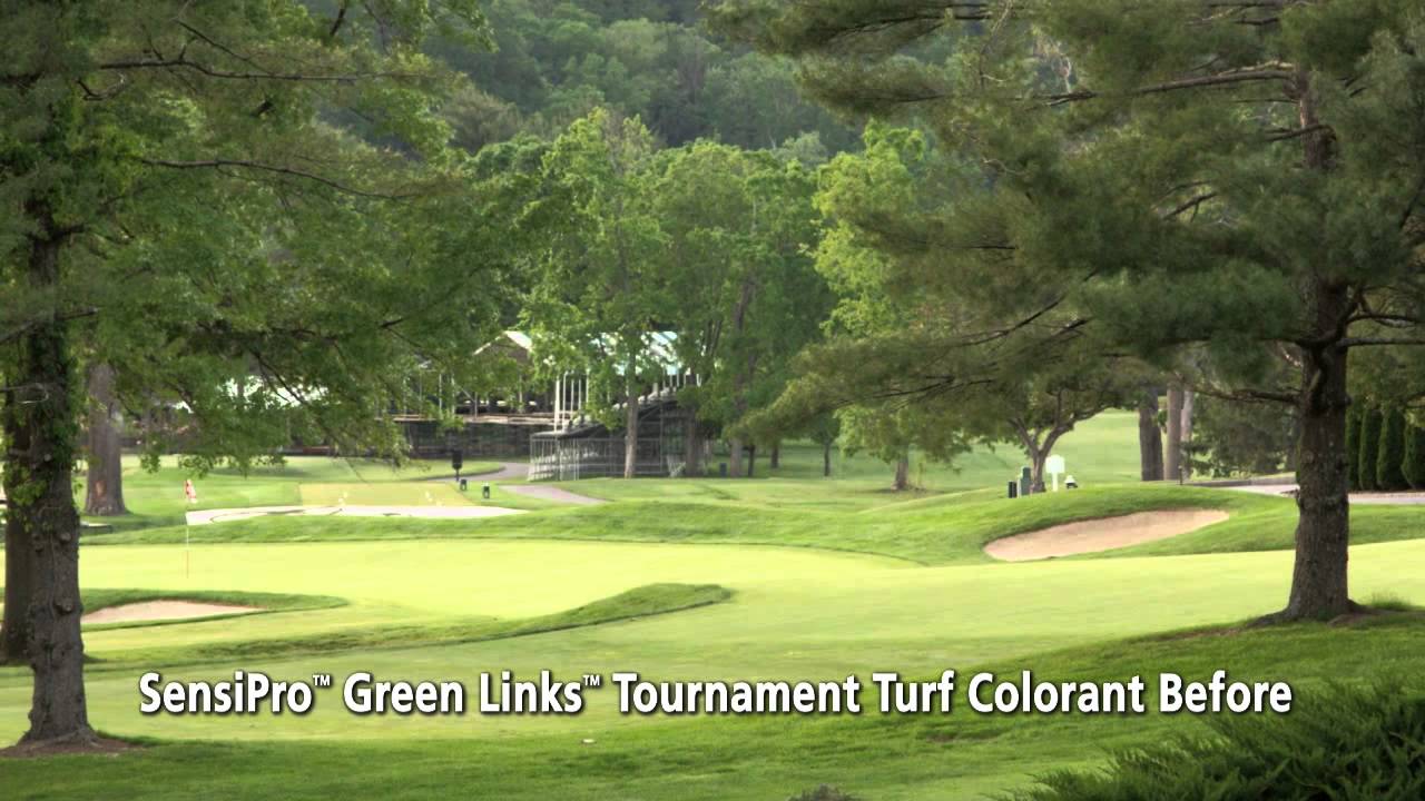 SensiPro™ Green Links Turf Colorants Before/After - YouTube