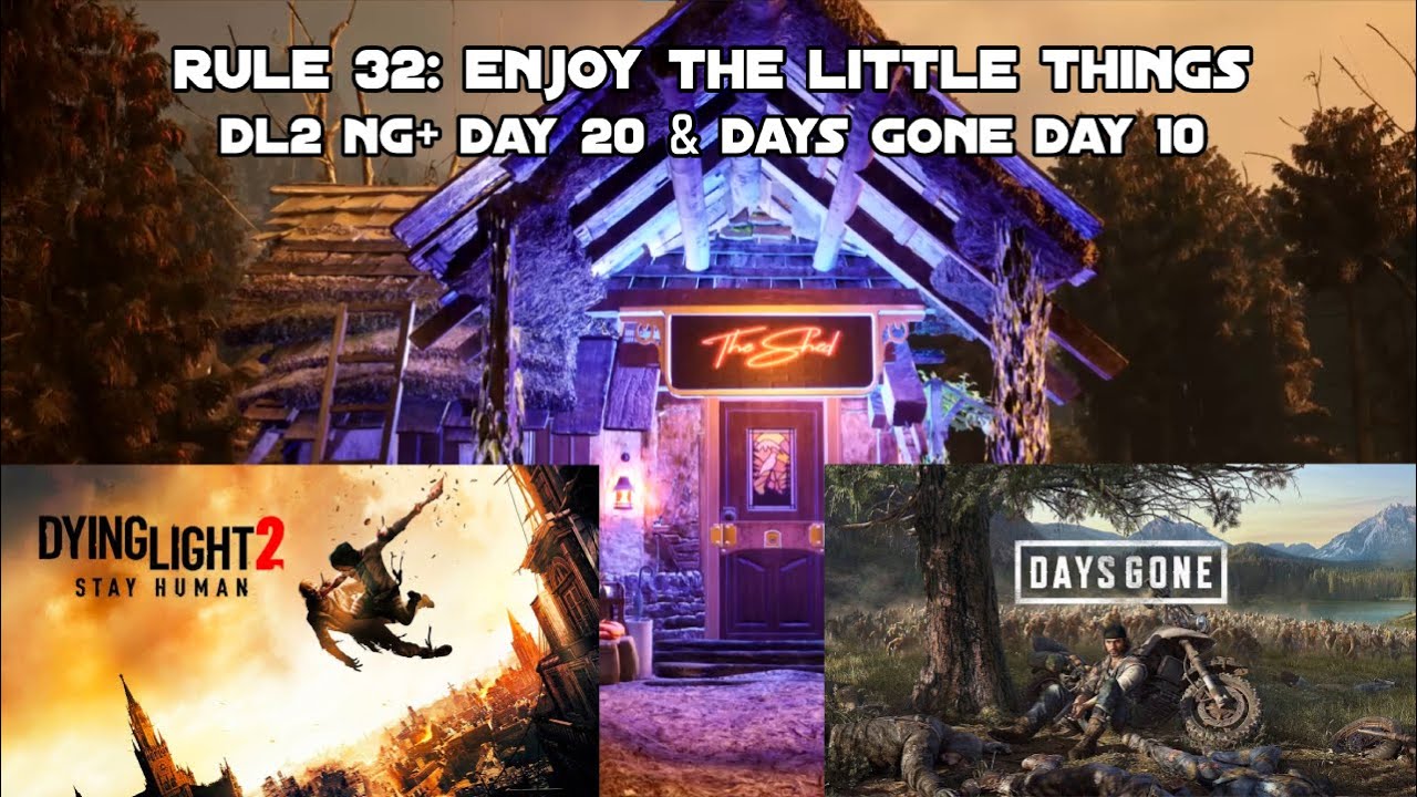 🍁Rule #32: Enjoy the Little Things.🍁Dying Light 2 NG+ Day 20 & Days ...