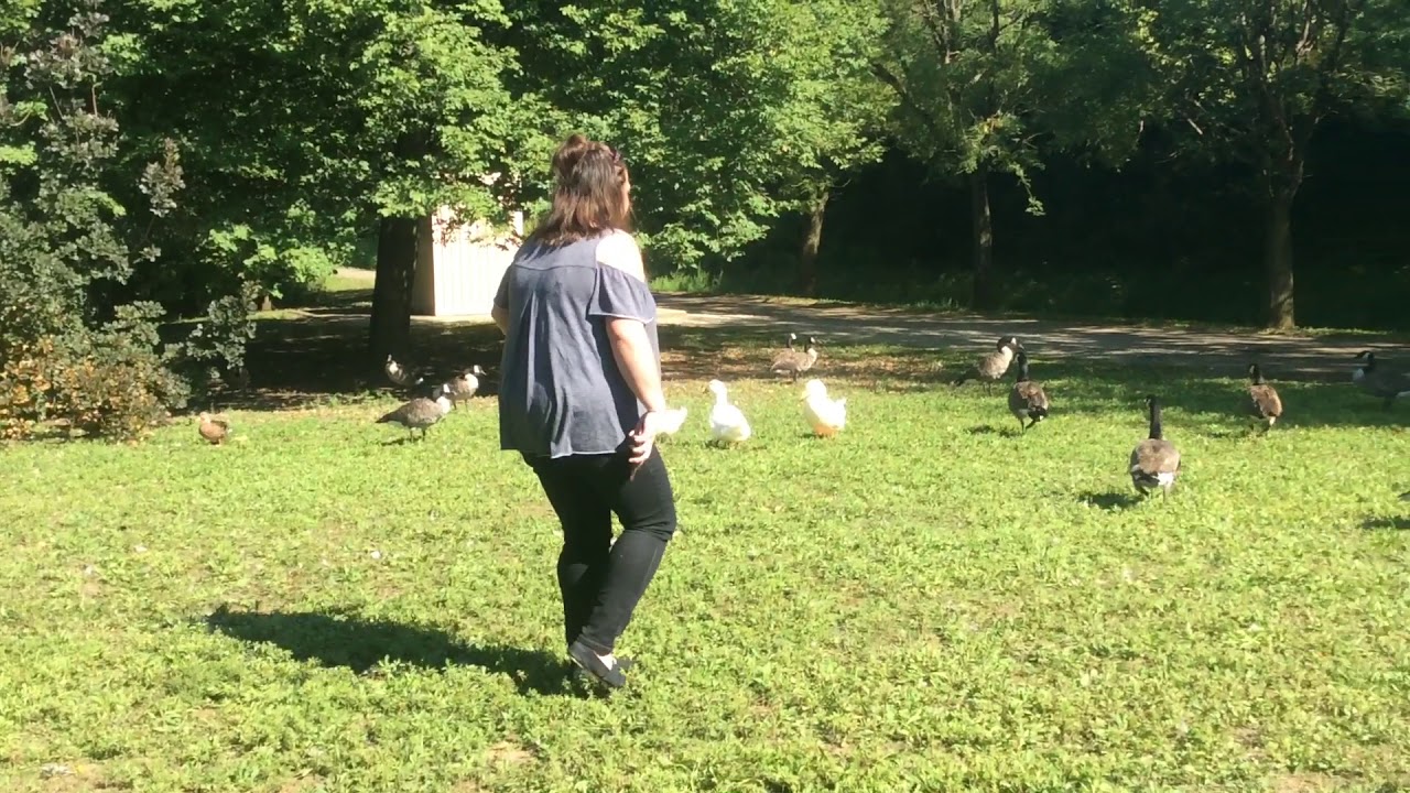 Hey ! Fat woman see crazy ducks on Cenci lake park ! - YouTube