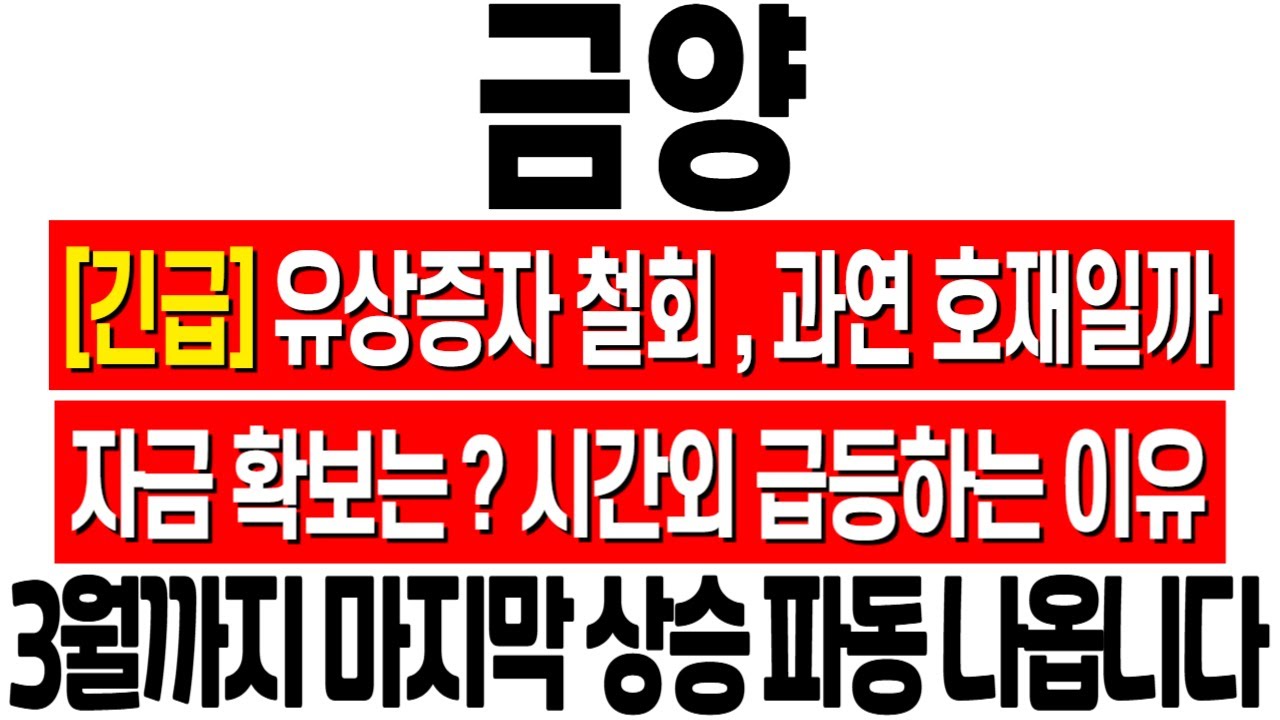금양 주가 전망 유상증자 철회 과연 호재일까 시간외 급등이 나온 이유 마지막 상승 파동을 준비하는 세력 금양 주식