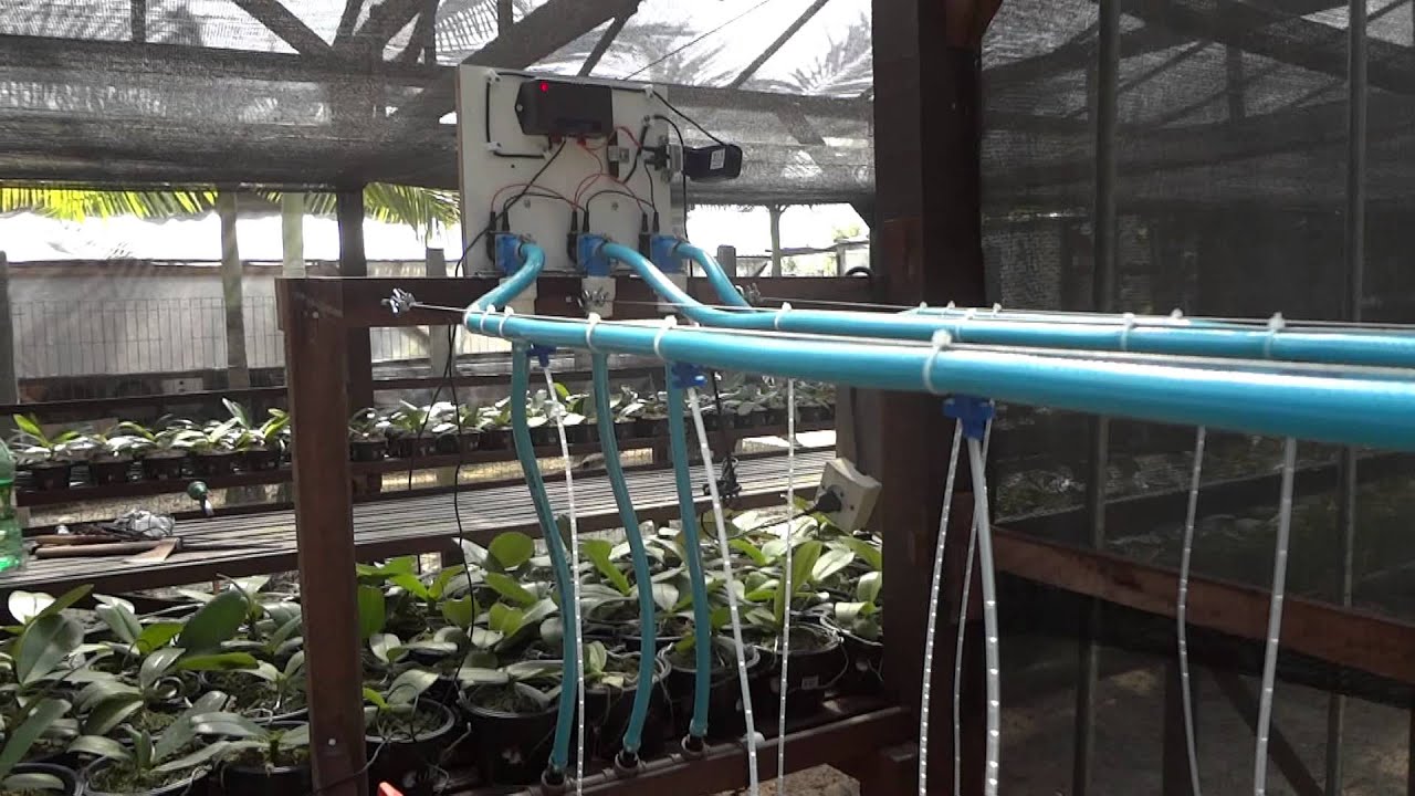 Irrigacao Automatica de Orquideas - Kasten - YouTube