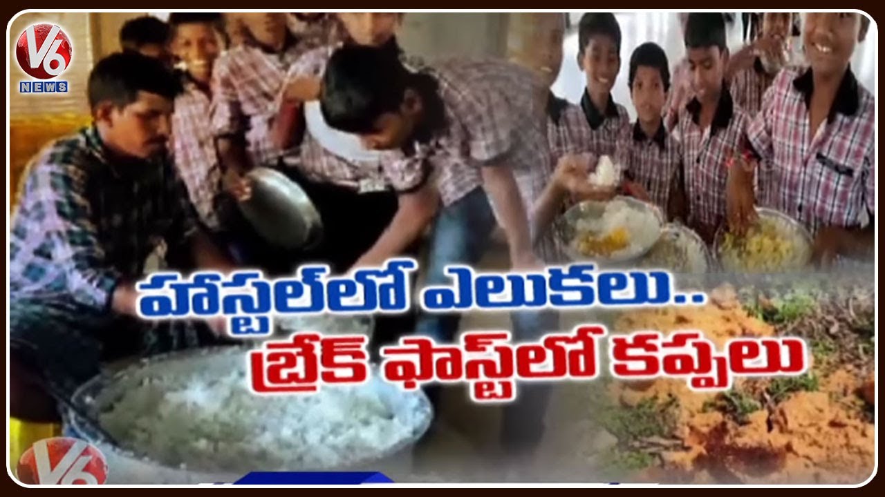 Welfare Hostel Students And Govt Hospital Patients Facing Problems With ...