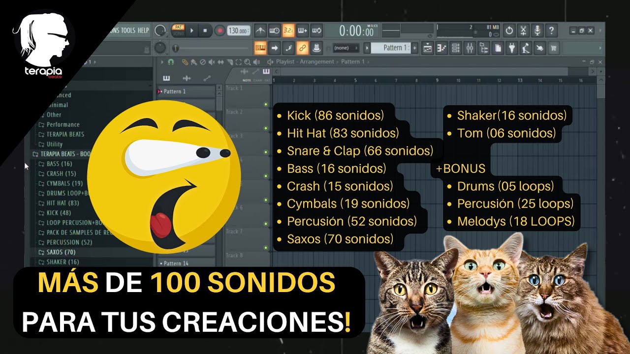 Libreria de Sonidos de Hip Hop Boom Bap Flava x Terapia Beats 🎁 + De 100 Sonidos 🚀 24 bits WAV ...