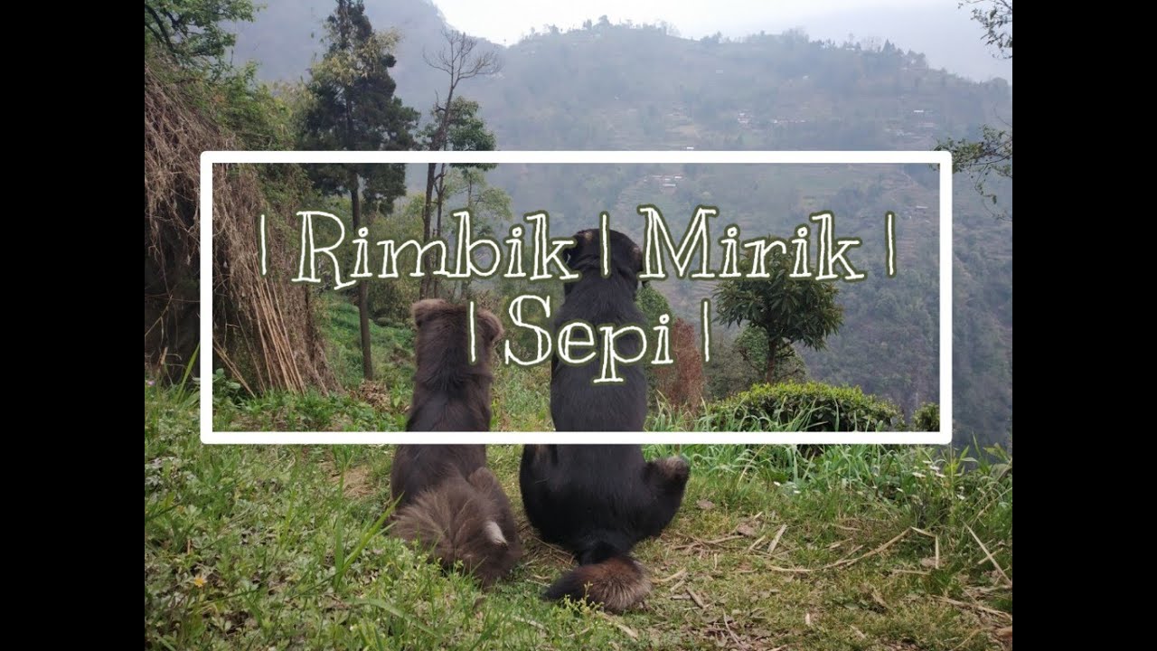 Trip to Sepi, Rimbik and Mirik || Mountains || Trekking || Noise Play ...