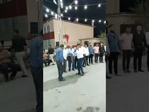 Hatay Reyhanlı düğün horlak mahalle