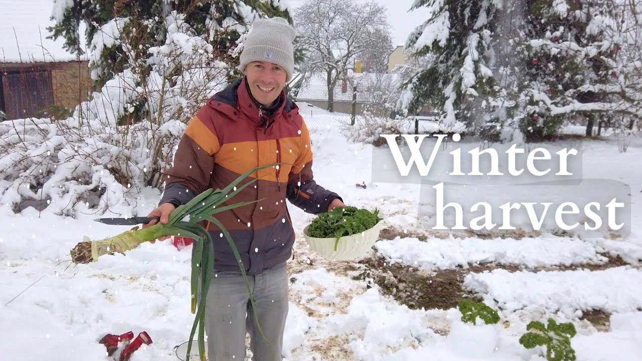 Our natural garden under snow | How is homestead life in winter? - YouTube