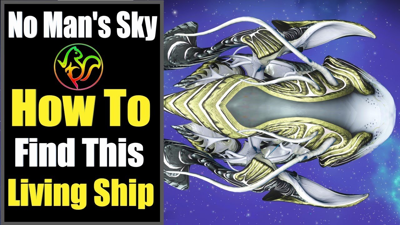 No Man's Sky 2022 - How to Find this Black and White with Gold Chrome ...