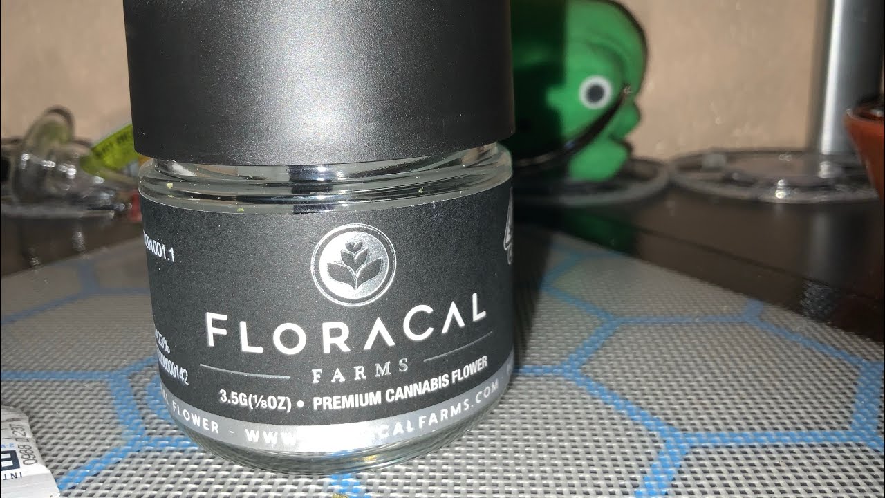FloraCal Farms: Jet Fuel Gelato #4🚀 - YouTube