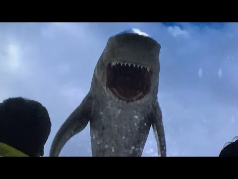 Dam Sharks!(2016) - Bull Sharks screen time 