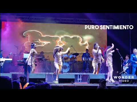 Puro Sentimiento en  Quito-Ecuador LLÉVAME CON TIGO, SACAME LA VUELTA