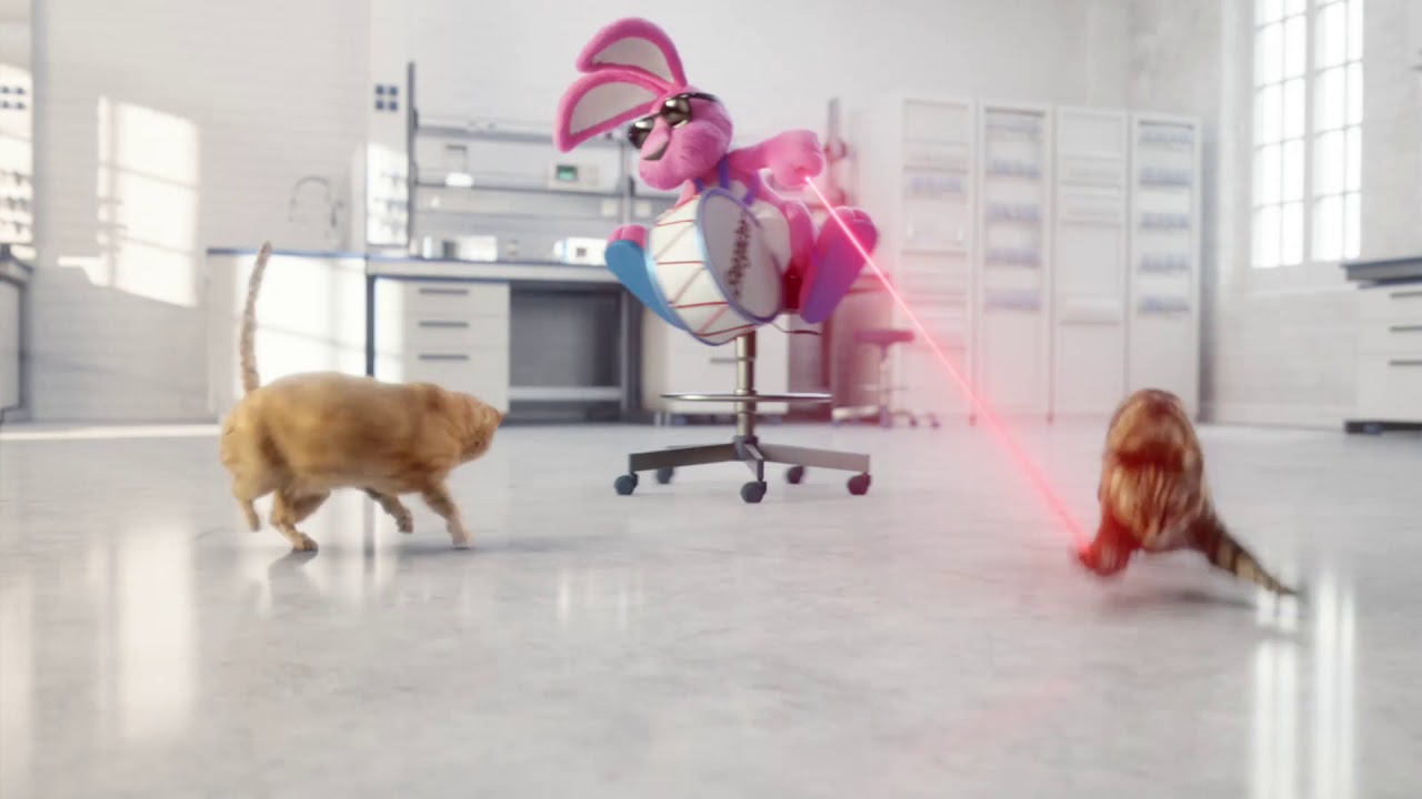 Energizer Ultimate Lithium - Laser Pointer :06 - YouTube